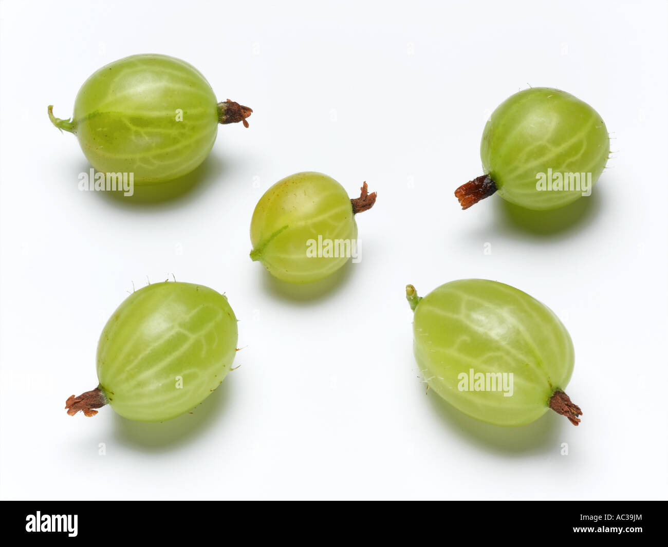 Gooseberry is a fruit hi-res stock photography and images - Alamy