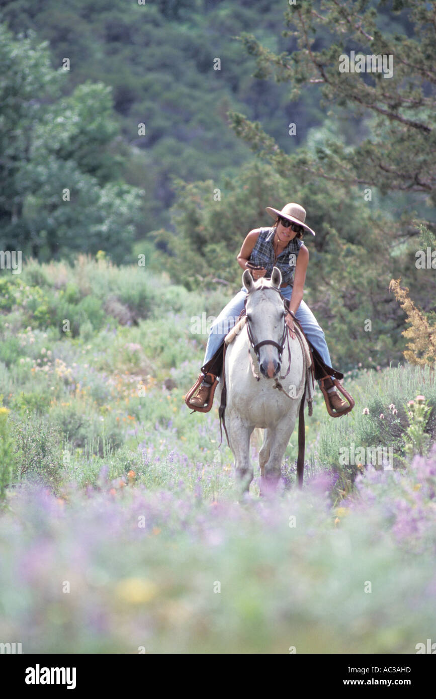 Horses bending down hi-res stock photography and images - Alamy