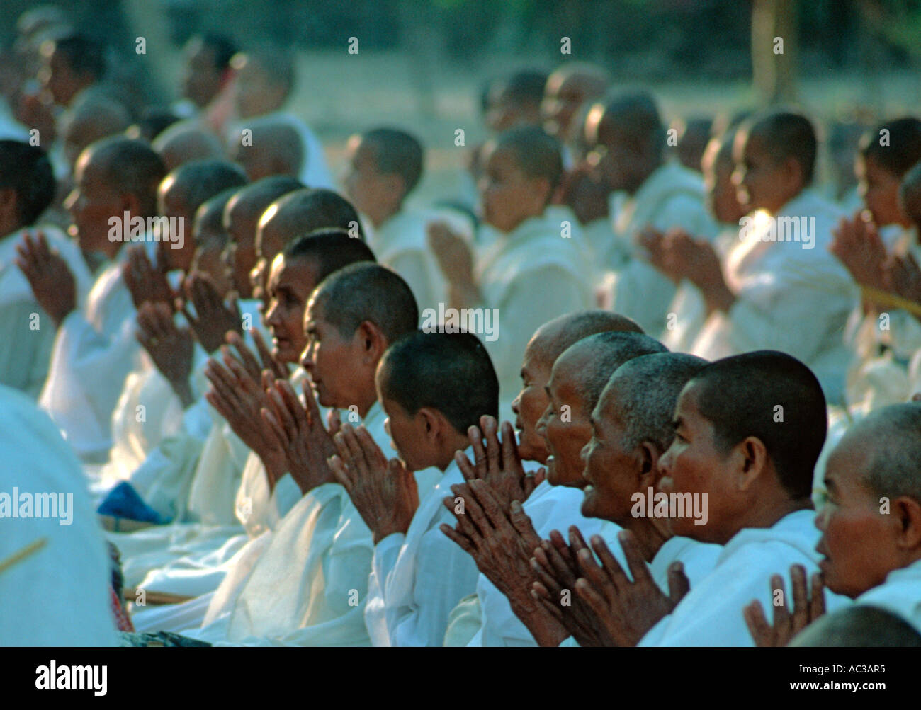 Buddhist Monks at prayer Stock Photo - Alamy