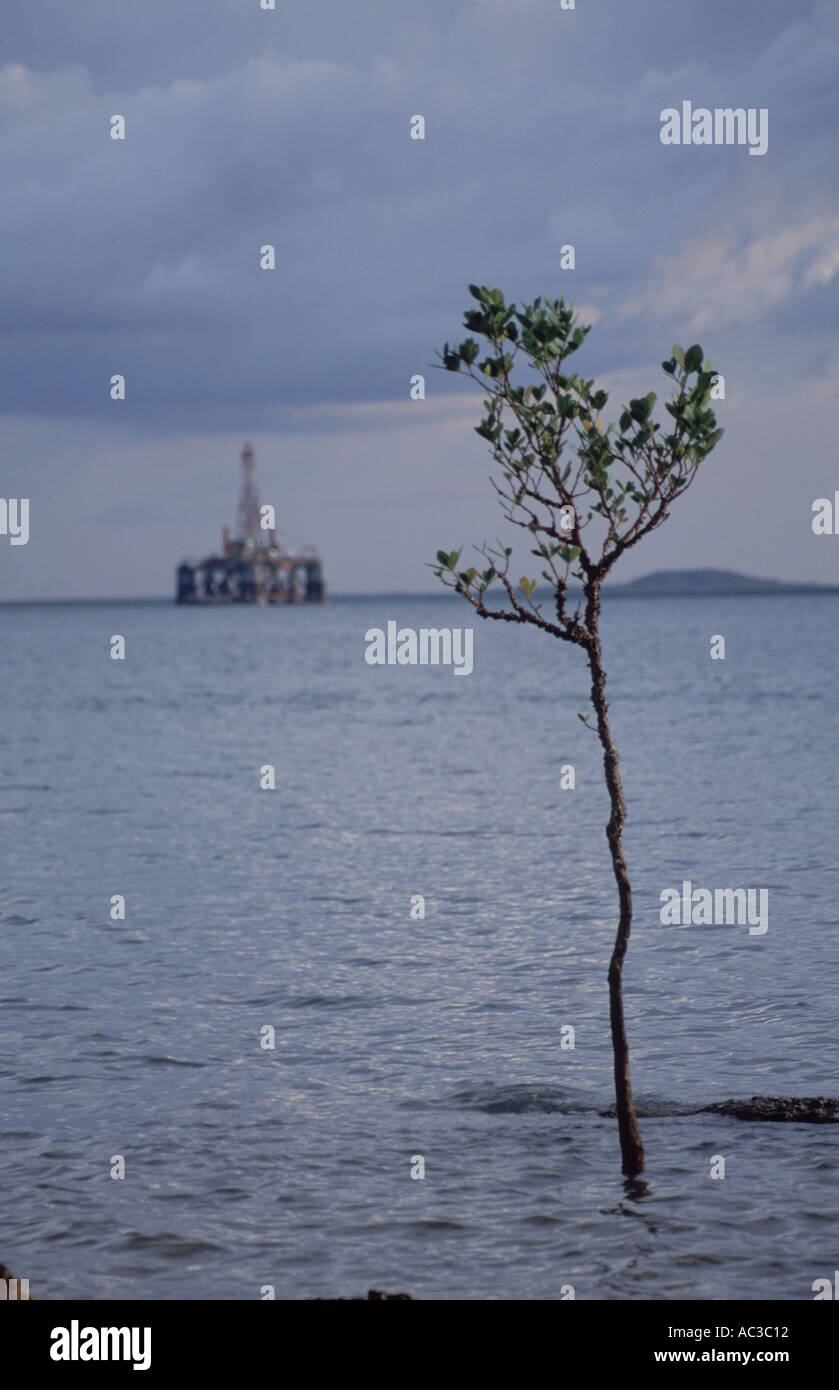 Persistance hi-res stock photography and images - Alamy