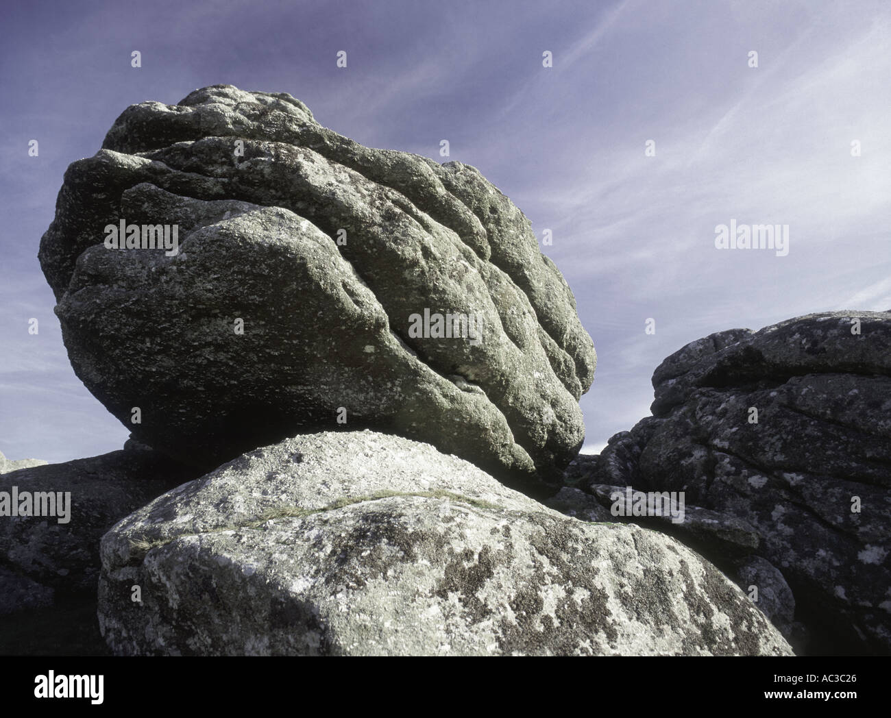 Ancient granite boulder on Bonehill Rocks near Widecombe Dartmoor ...