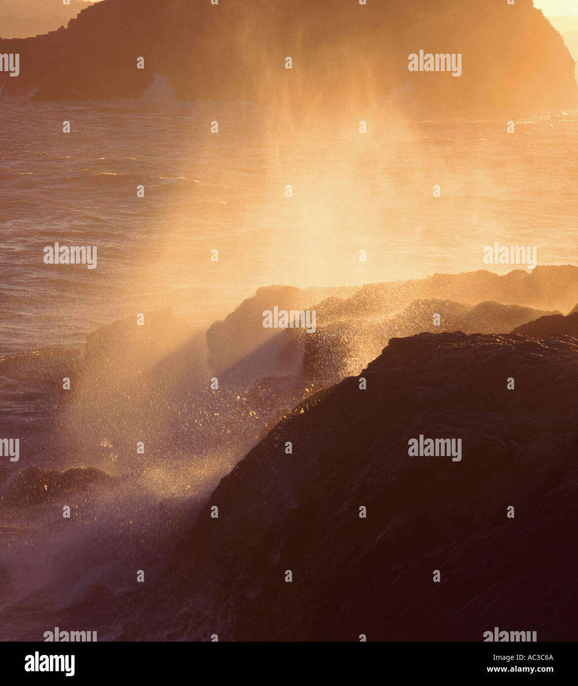 Spray as a wave hits rocks backlit by the setting sun Hope Nose Torbay ...