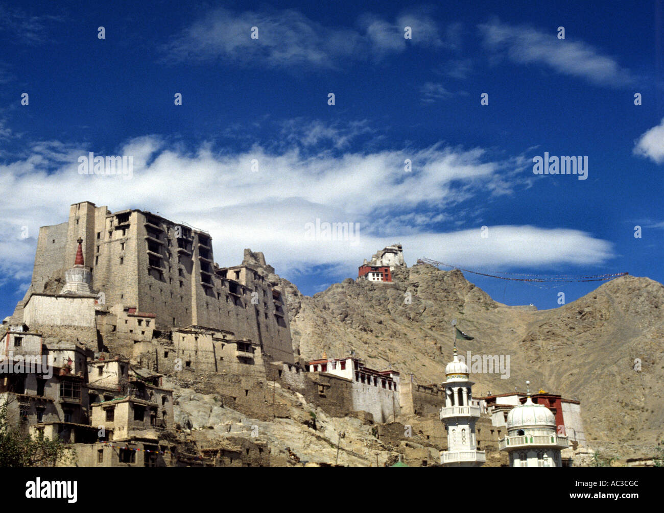 Leh royal palace Stock Photo - Alamy