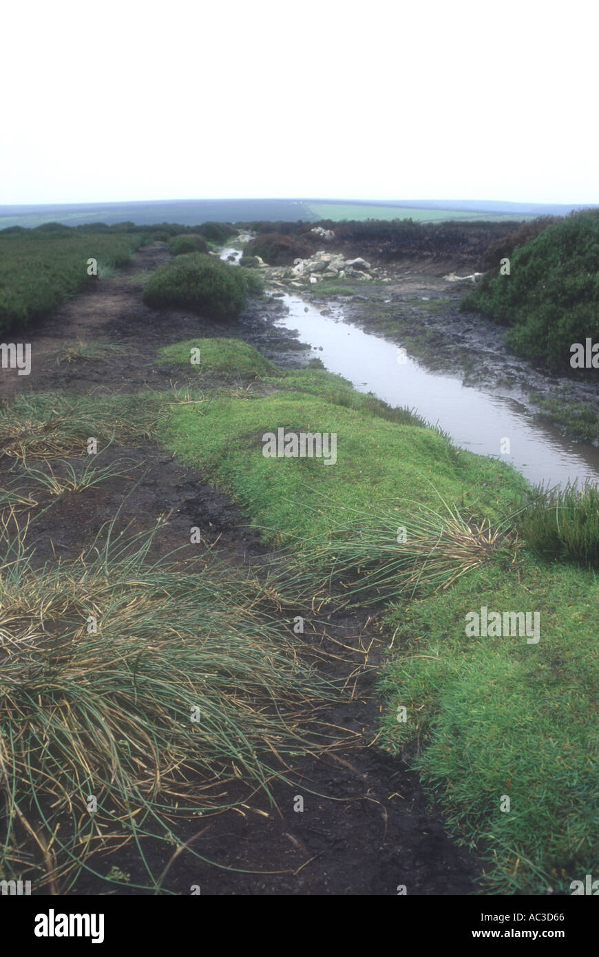 Lyke Wake Walk North Yorkshire Moors National Park Stock Photo - Alamy