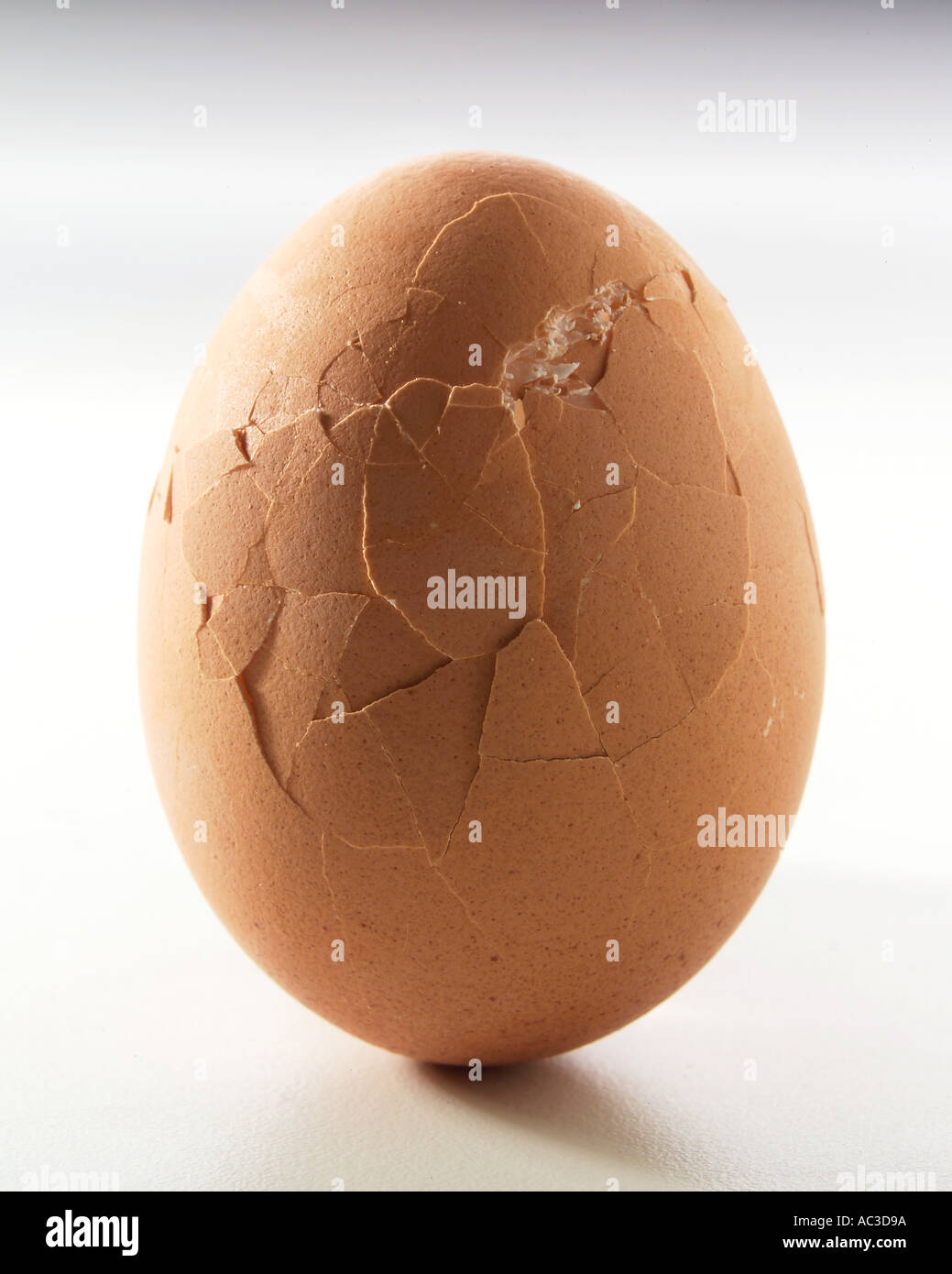 1 hard boiled egg hi-res stock photography and images - Alamy