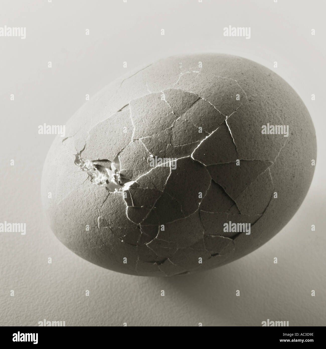 1 hard boiled egg hi-res stock photography and images - Alamy
