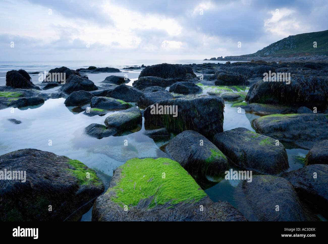 Rockpool and Seaweed Cornwall England Stock Photo - Alamy
