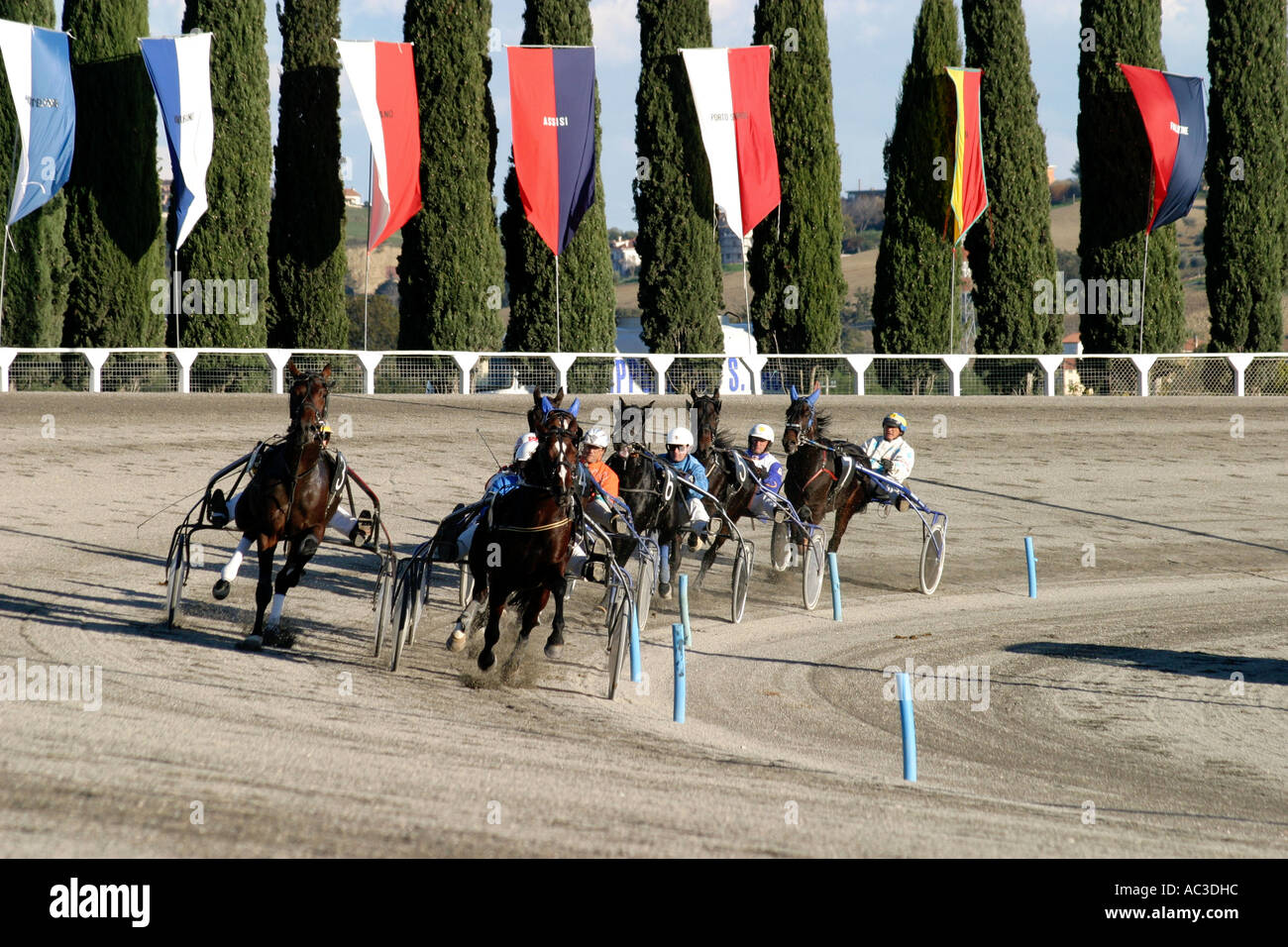 Trotting track hi-res stock photography and images - Alamy