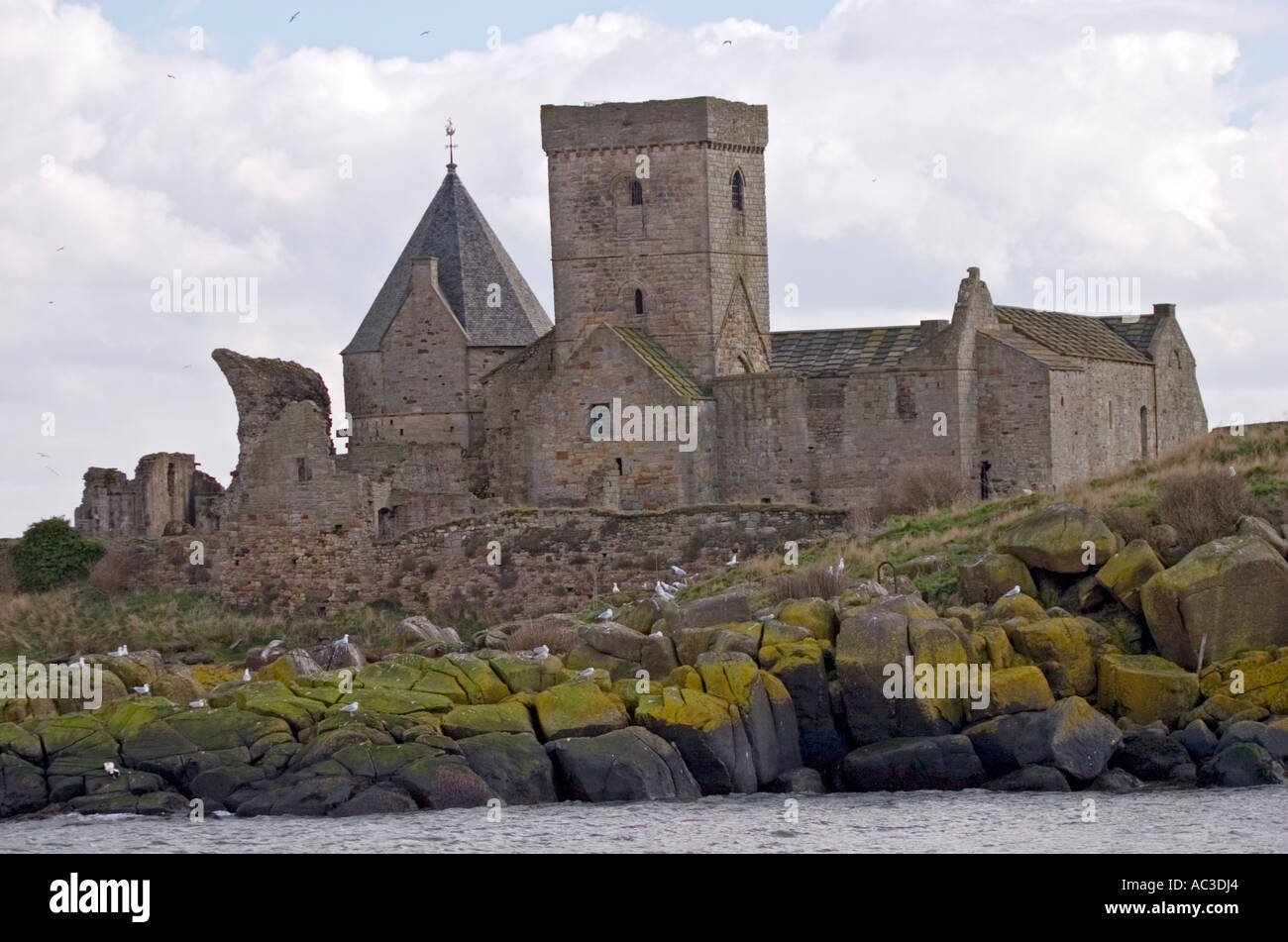Inchcolm Abbey Inchcolm Island Firth of Forth Scotland Stock Photo - Alamy