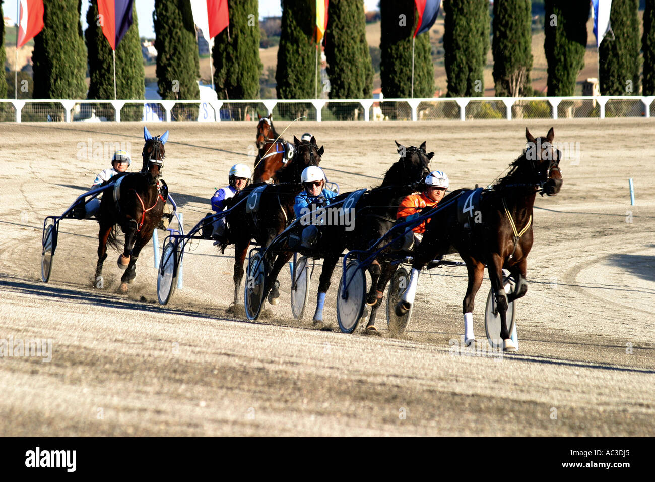 Trotting track hi-res stock photography and images - Alamy