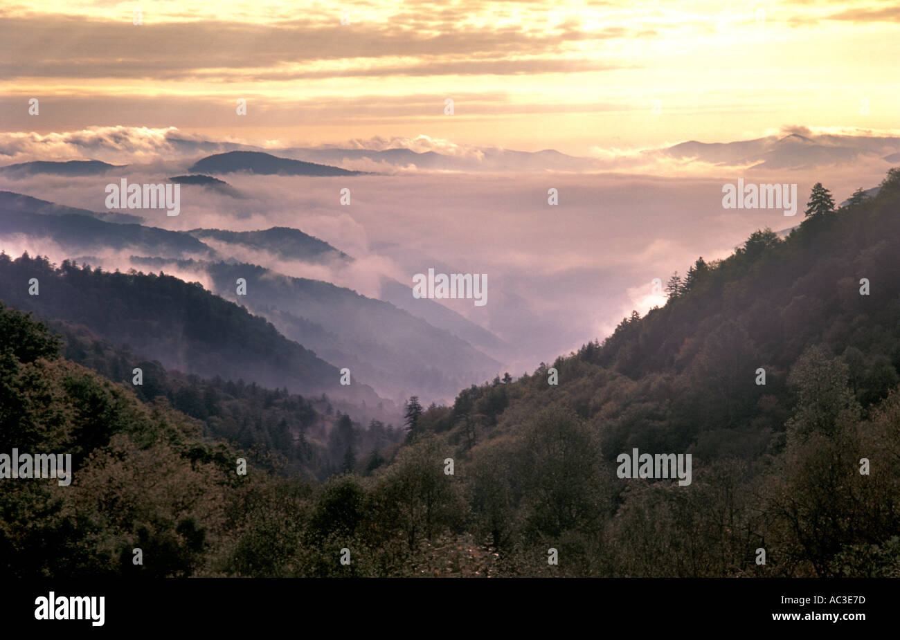 Newfound Gap Smoky Mountains Stock Photo - Alamy
