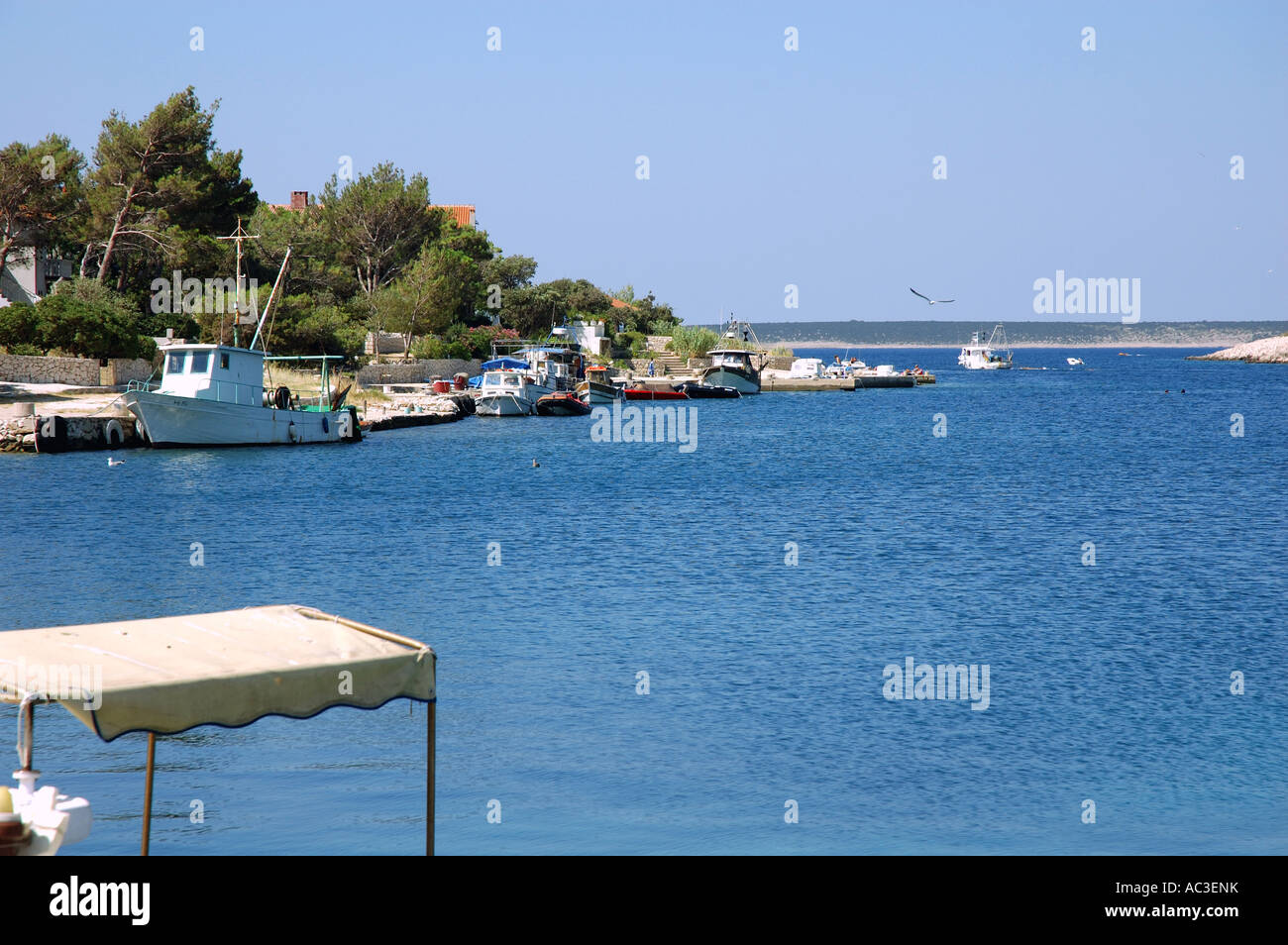 Simuni Pag Island Dalmatia Croatia former ex Yugoslavia Pago Dalmacija ...