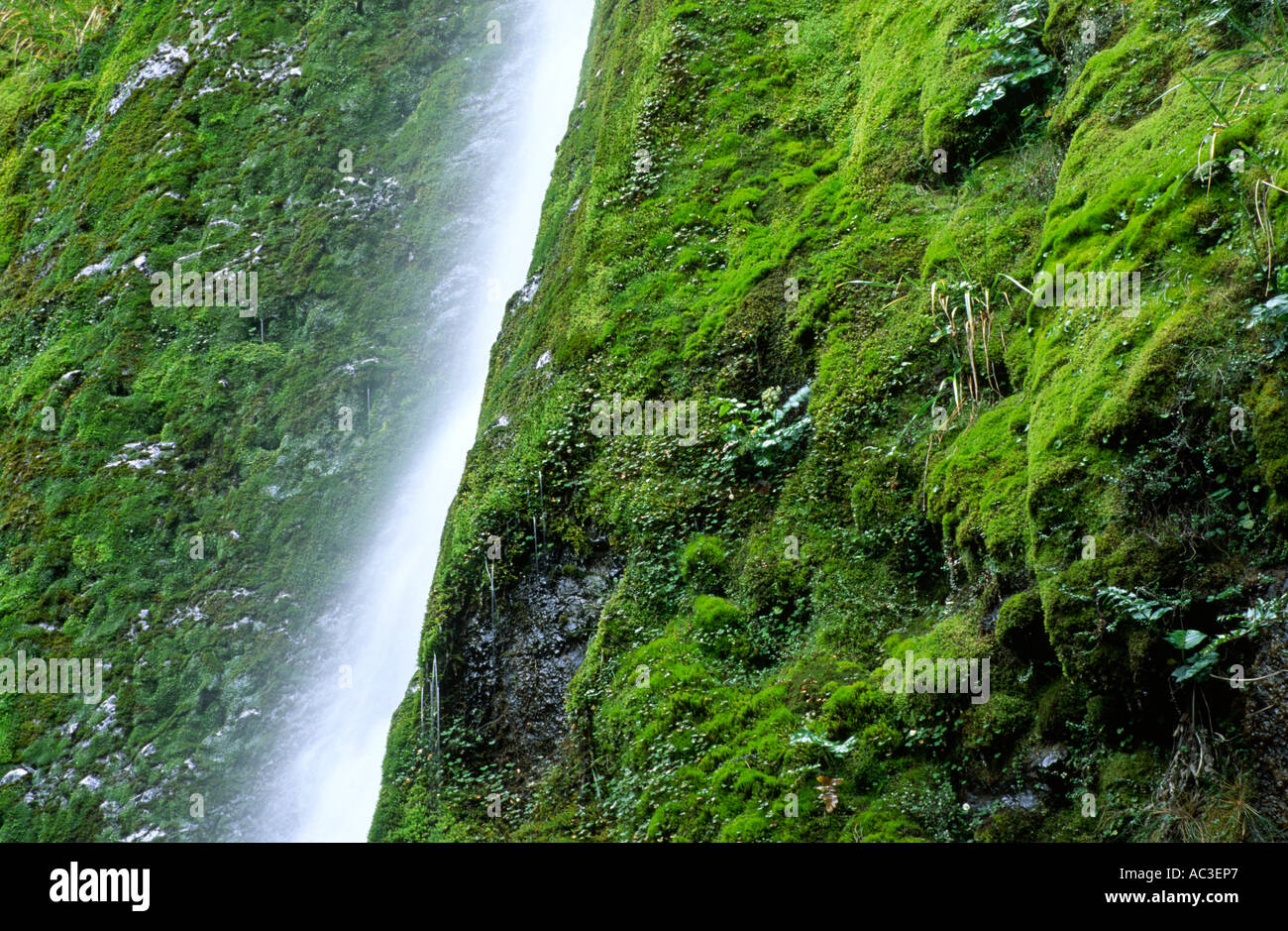 Dog Stream Waterfall near Hanmer Springs Canterbury South Island New ...