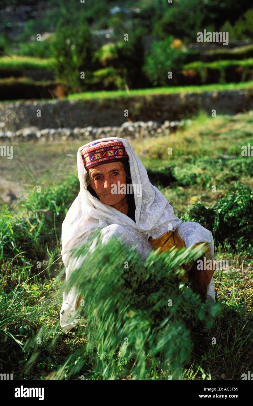 Pakistan, Hunza Hunzakut woman in fields, Altit Stock Photo - Alamy