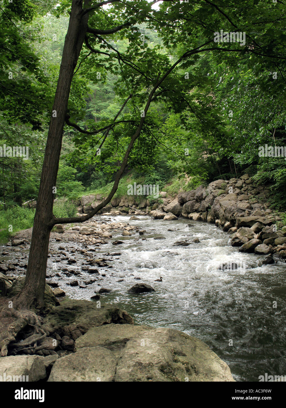 Bubbling brook brook hi-res stock photography and images - Alamy