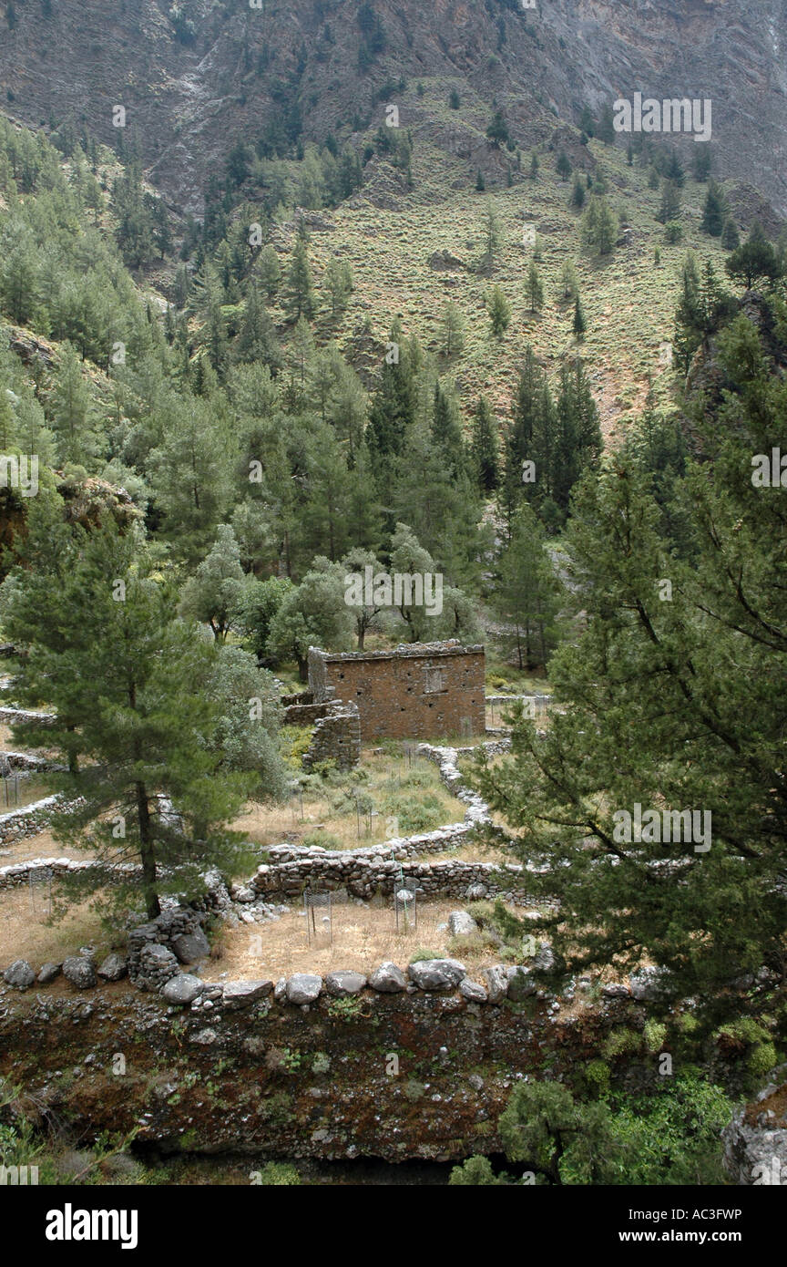 Remaining of Samaria village in Samaria Gorge national park in the ...