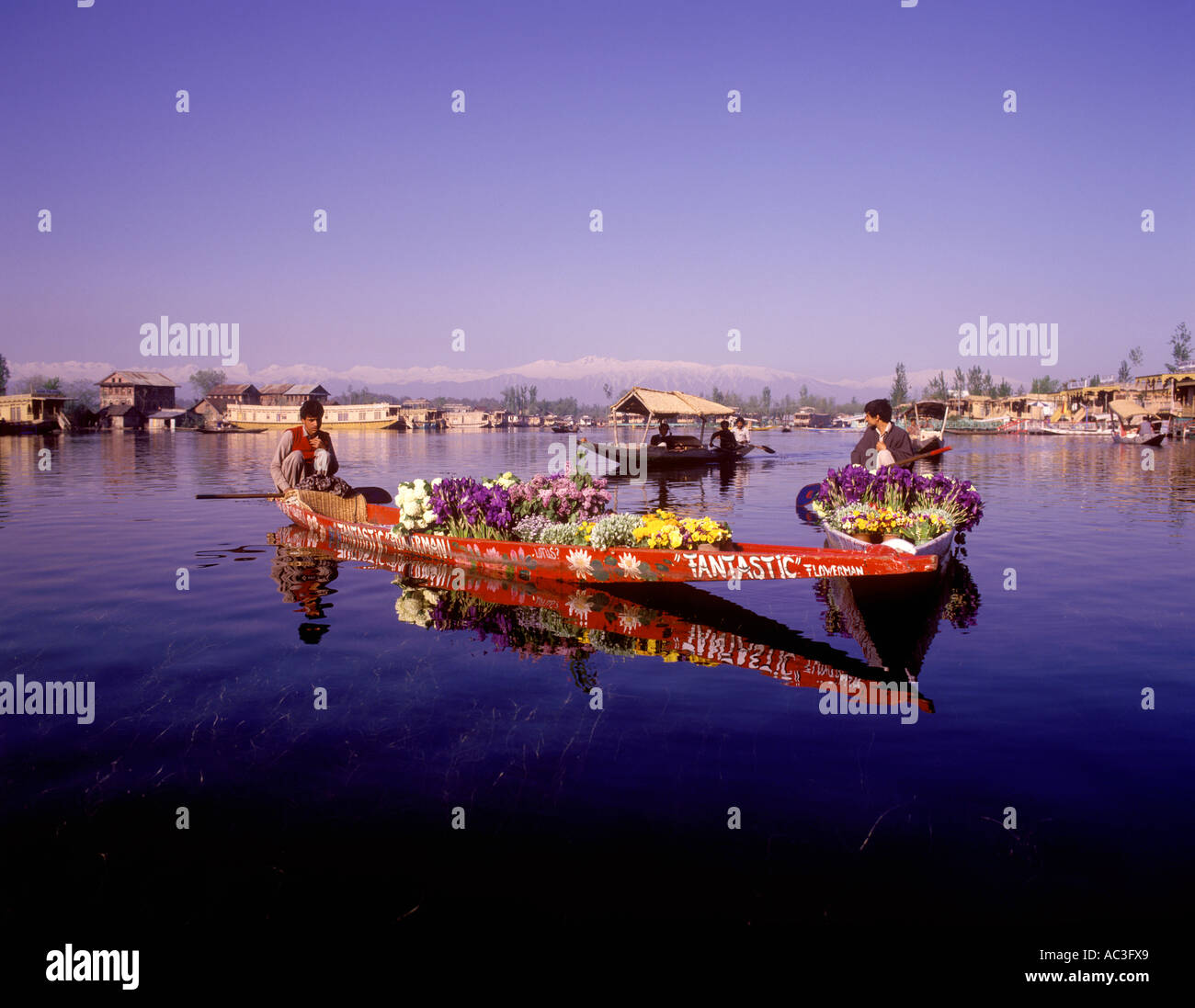 Kashmir srinagar dal lake flower hi-res stock photography and images ...