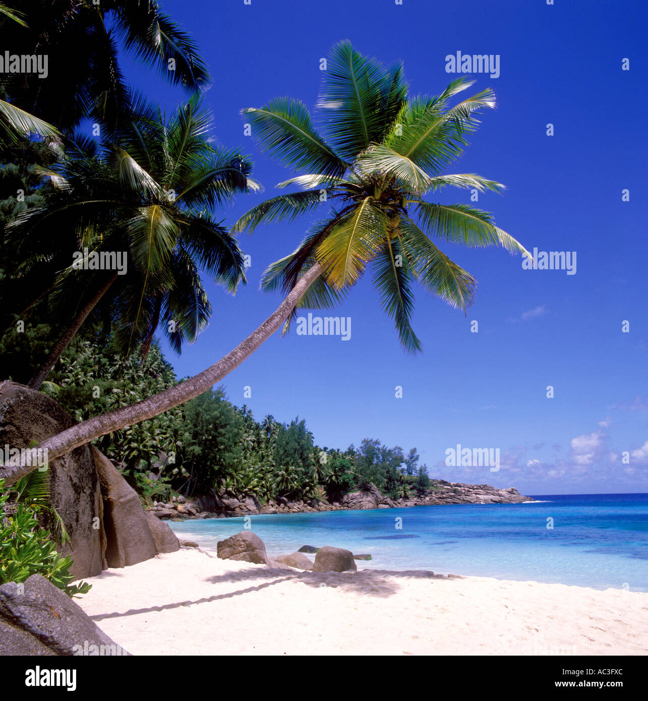 Anse Intendance, Tropical beach Stock Photo - Alamy