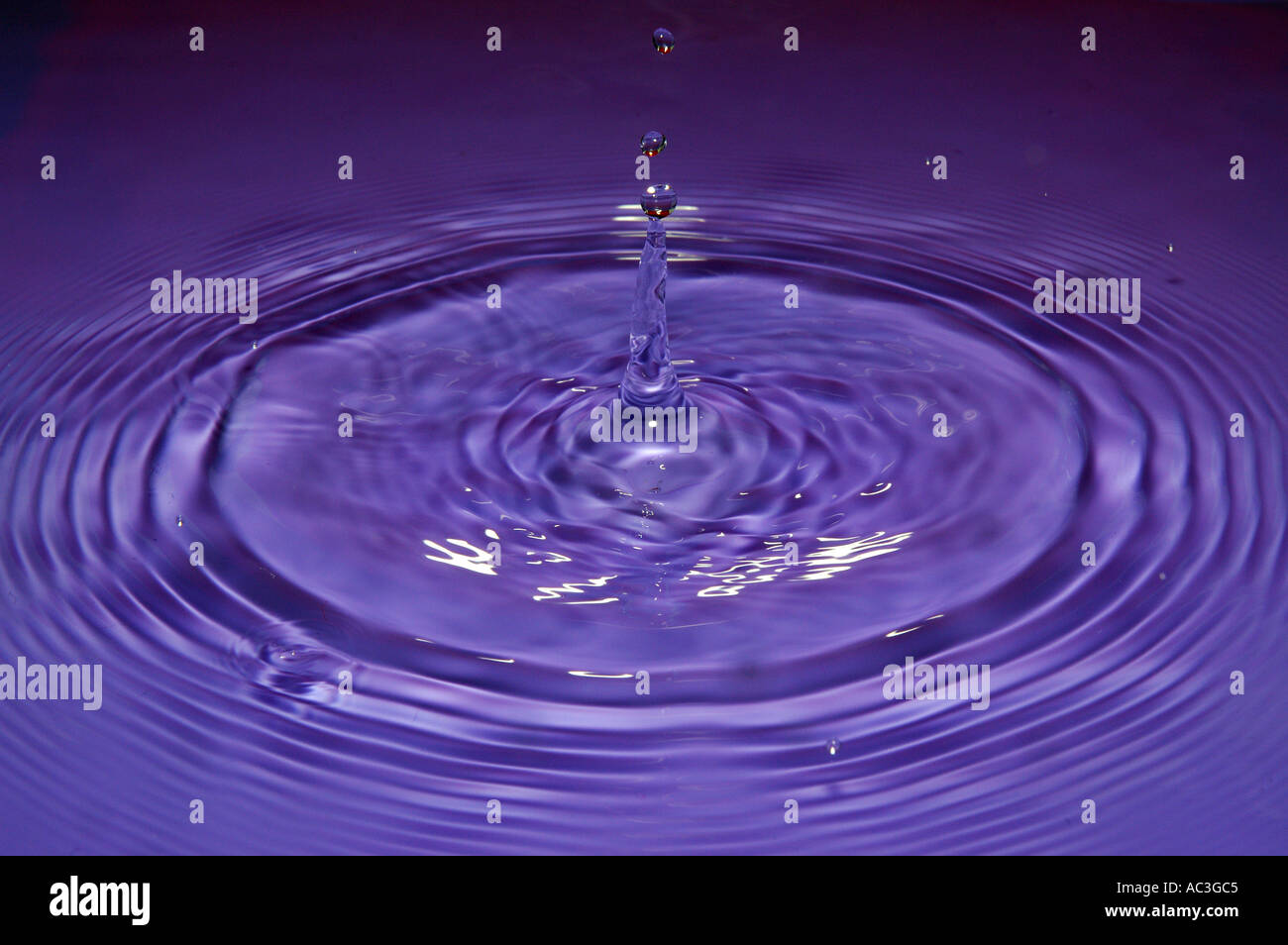 Water droplets orbiting around purple waves Stock Photo - Alamy