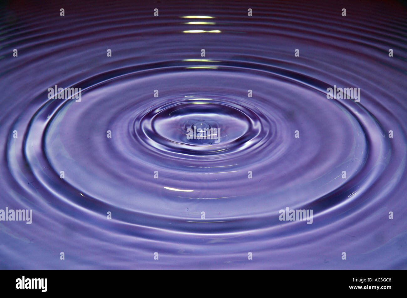 Purple ripples after a water drop Stock Photo - Alamy
