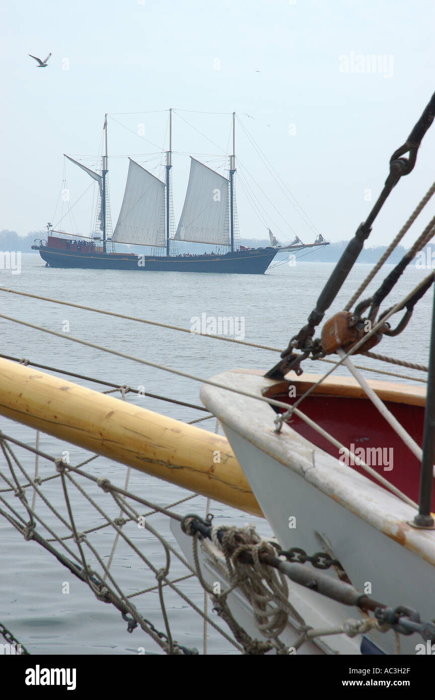 Classic sailing ships in Toronto Harbour Stock Photo - Alamy