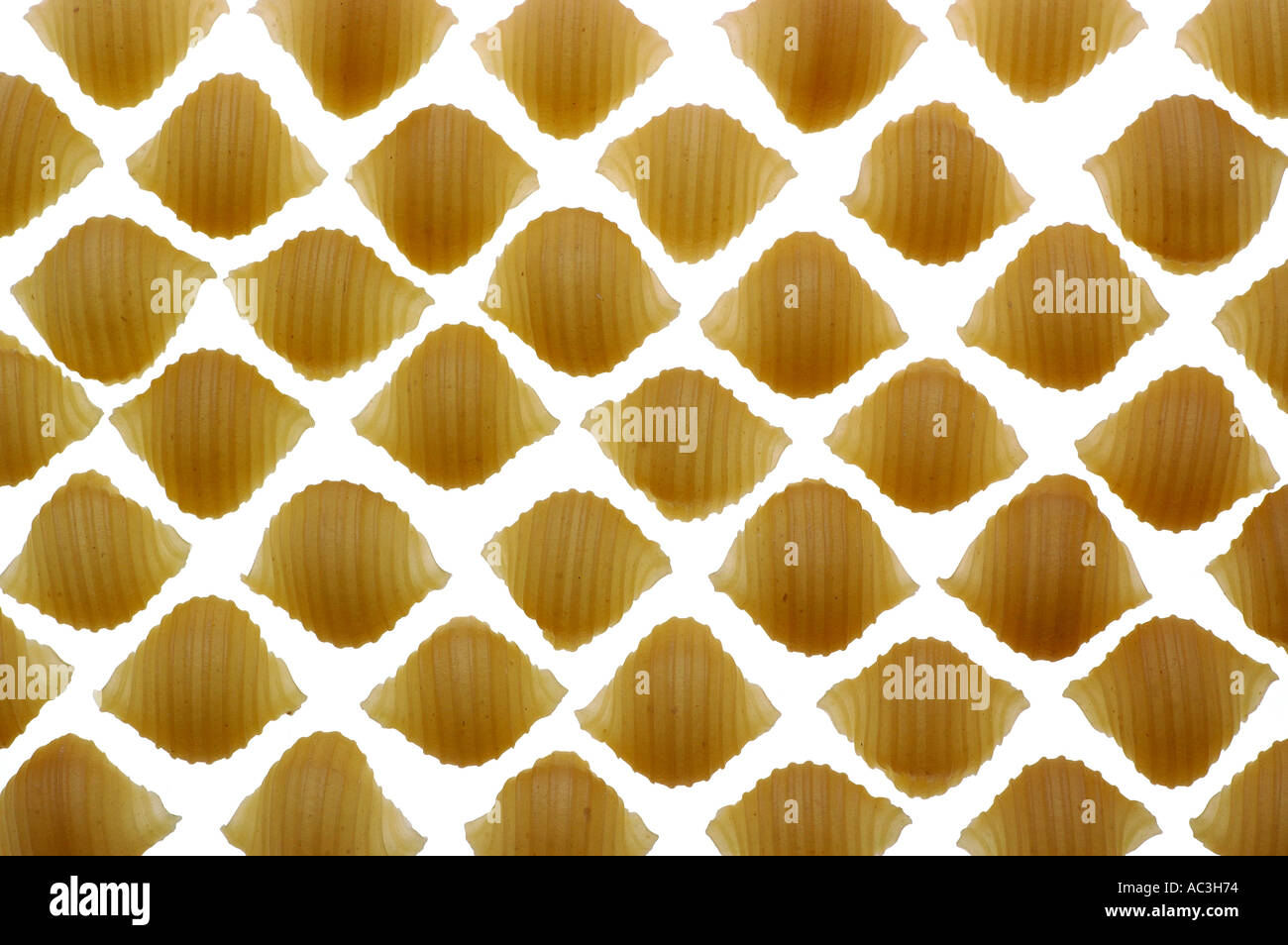 Sea shells pasta in rows on a white background Stock Photo - Alamy