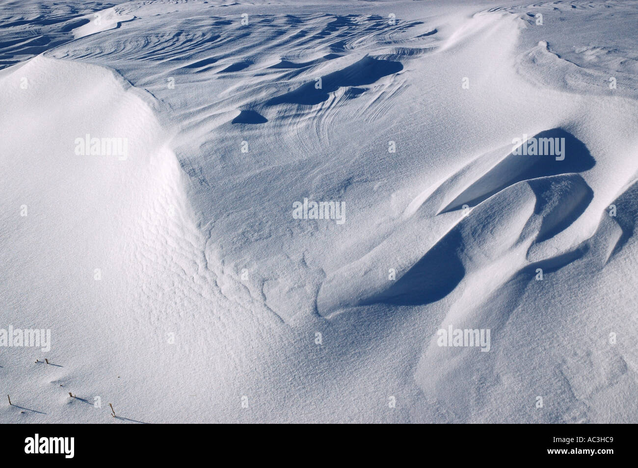shapes and texture of snow drift dunes Stock Photo - Alamy