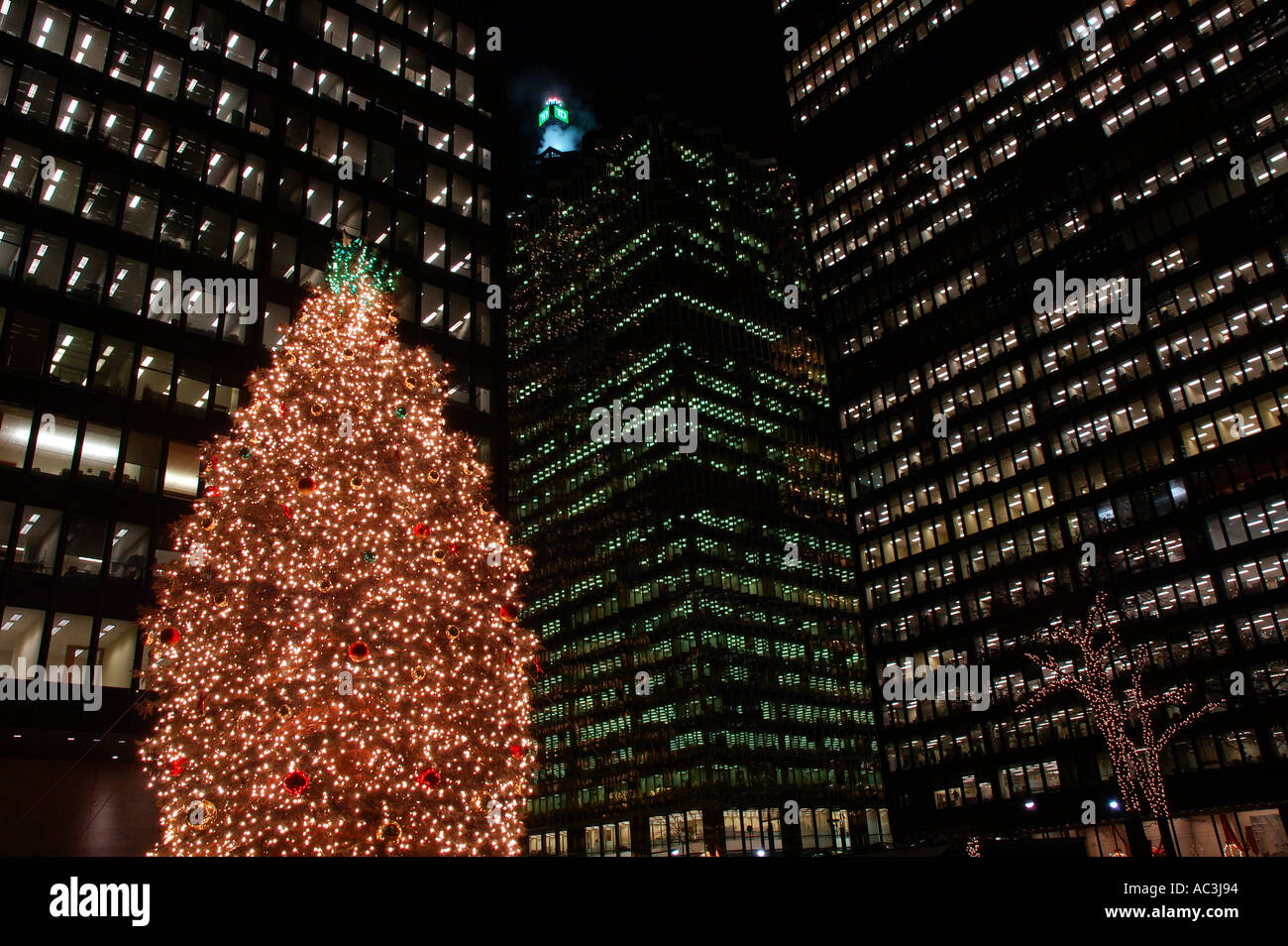 Toronto financial towers at night with lit Christmas tree Stock Photo ...