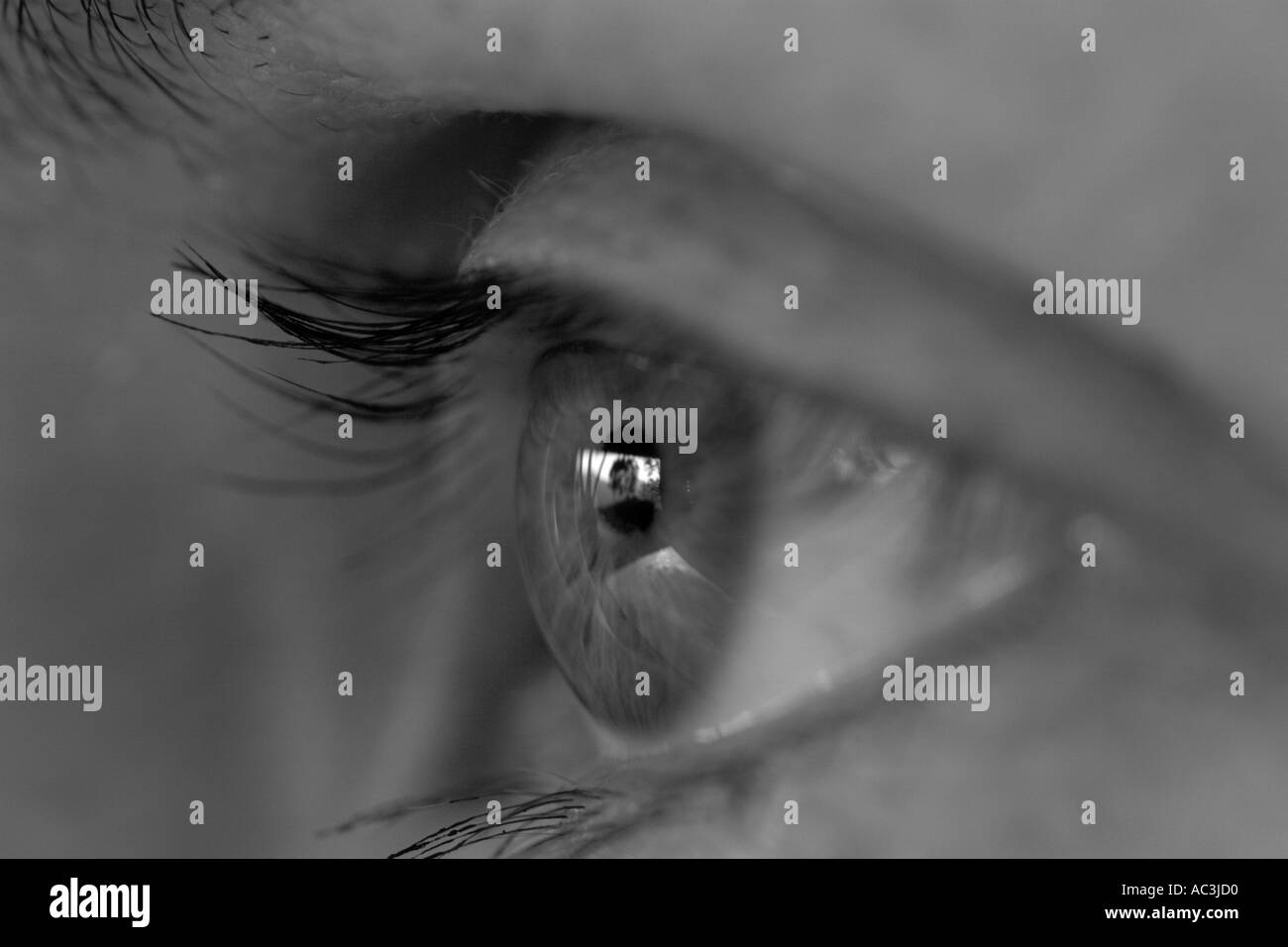 Womans Eye - Black and White Stock Photo - Alamy