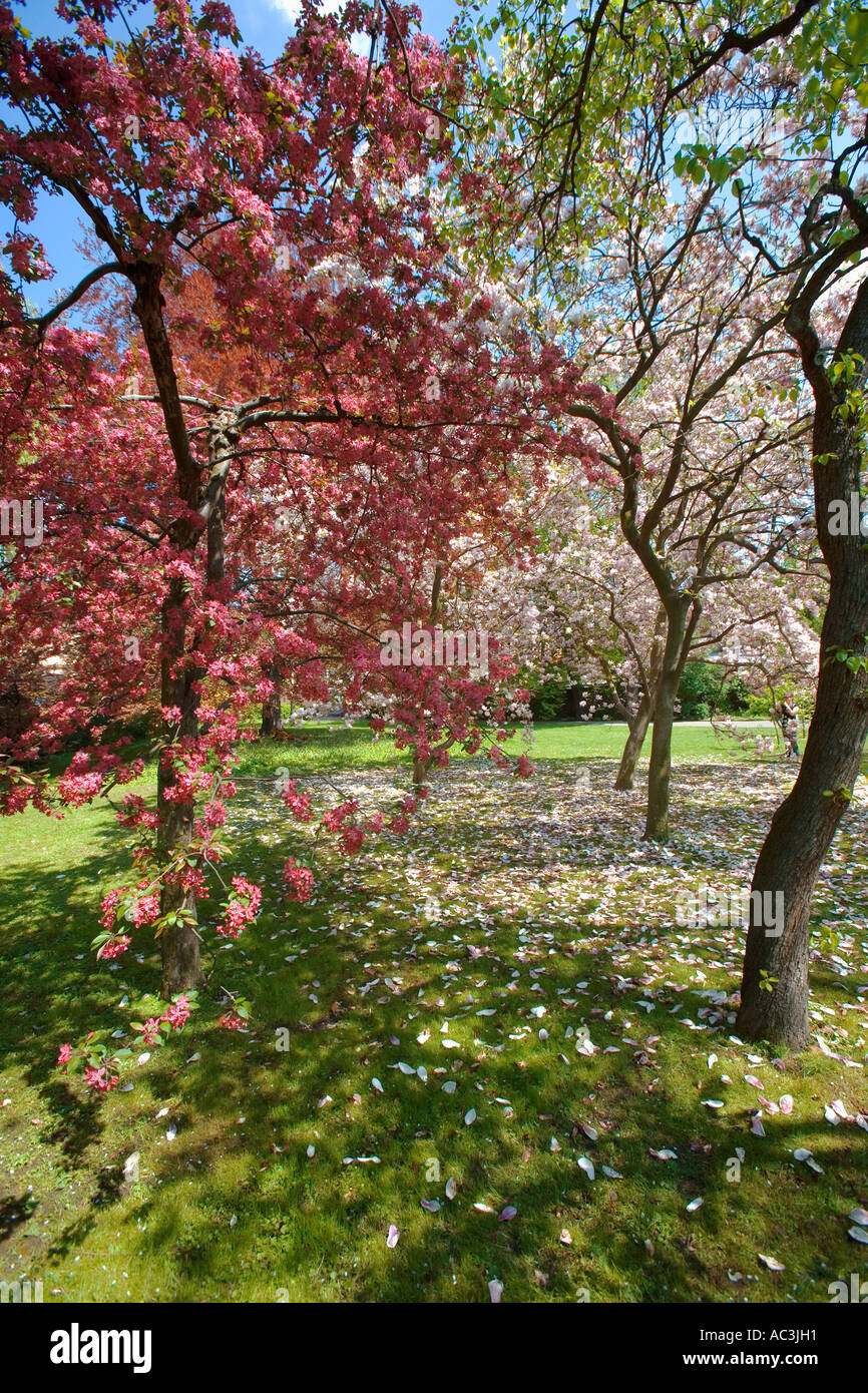 CZECH REPUBLIC PRAGUE VOJANOVY SADY PARK IN SPRING Stock Photo - Alamy