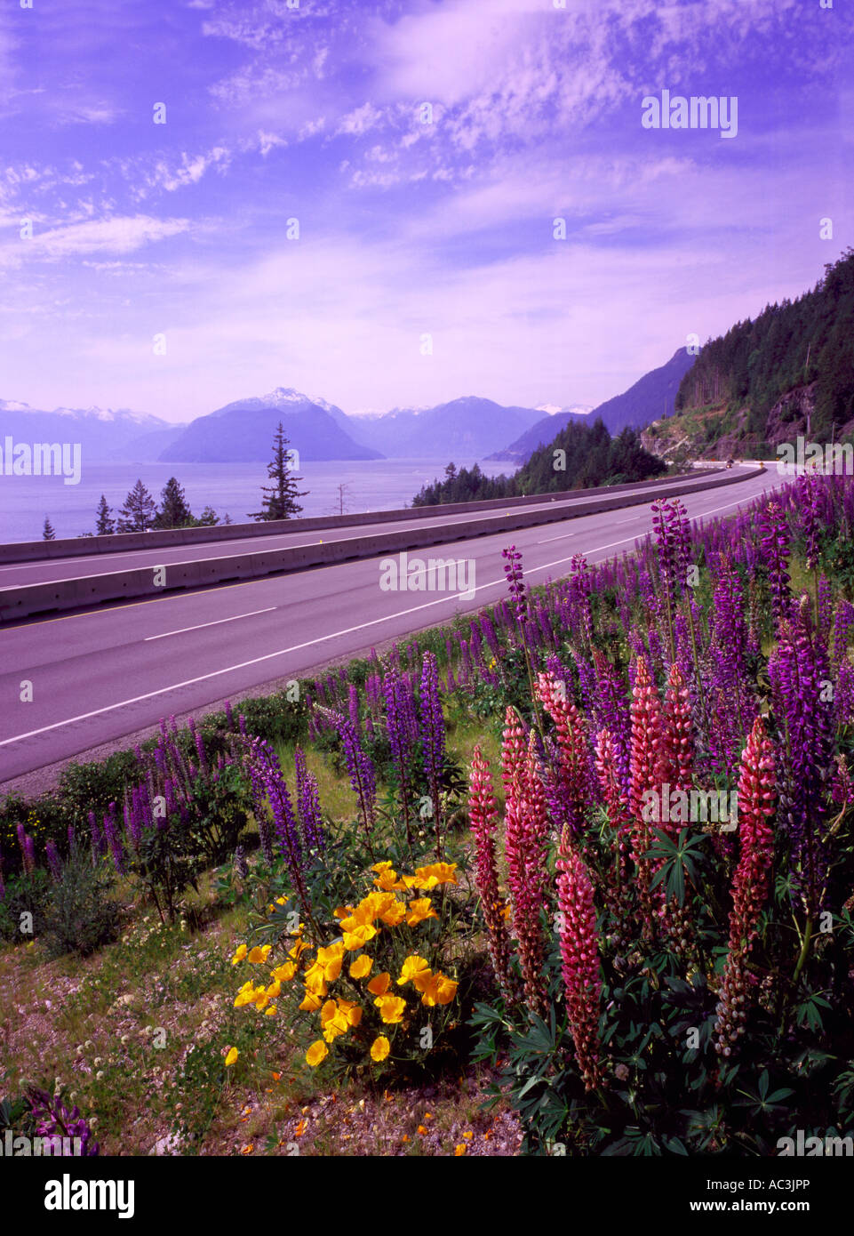 Highway 99 from vancouver whistler hi-res stock photography and images ...