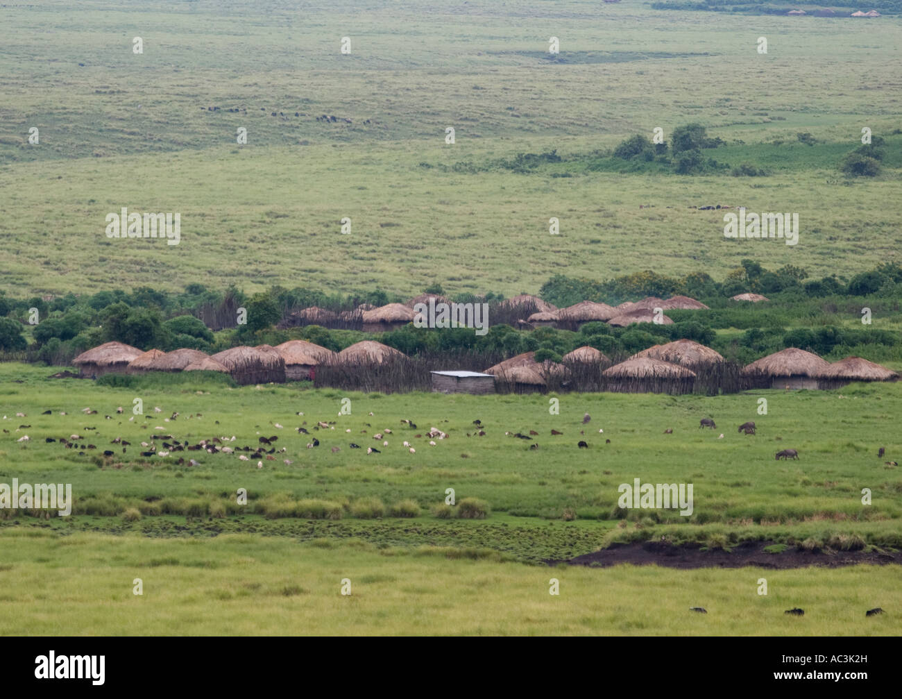 Masai houses hi-res stock photography and images - Alamy