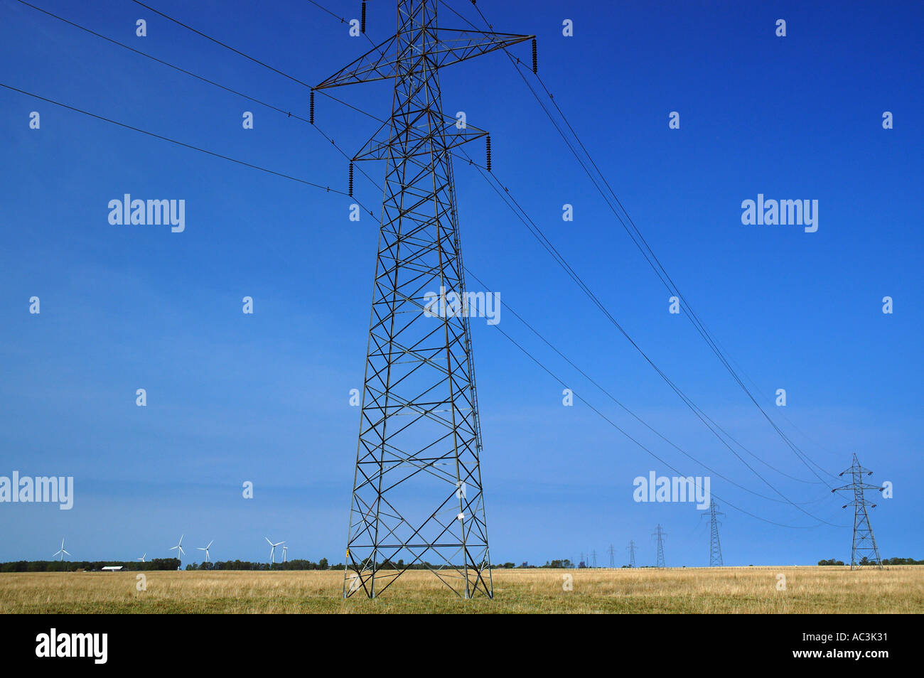Hydro tower electricity lines leading to a group of wind turbines in ...