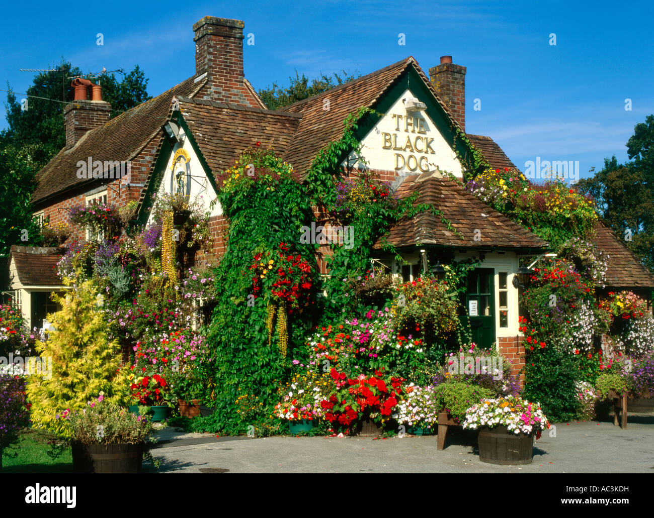 Waltham chase hi-res stock photography and images - Alamy