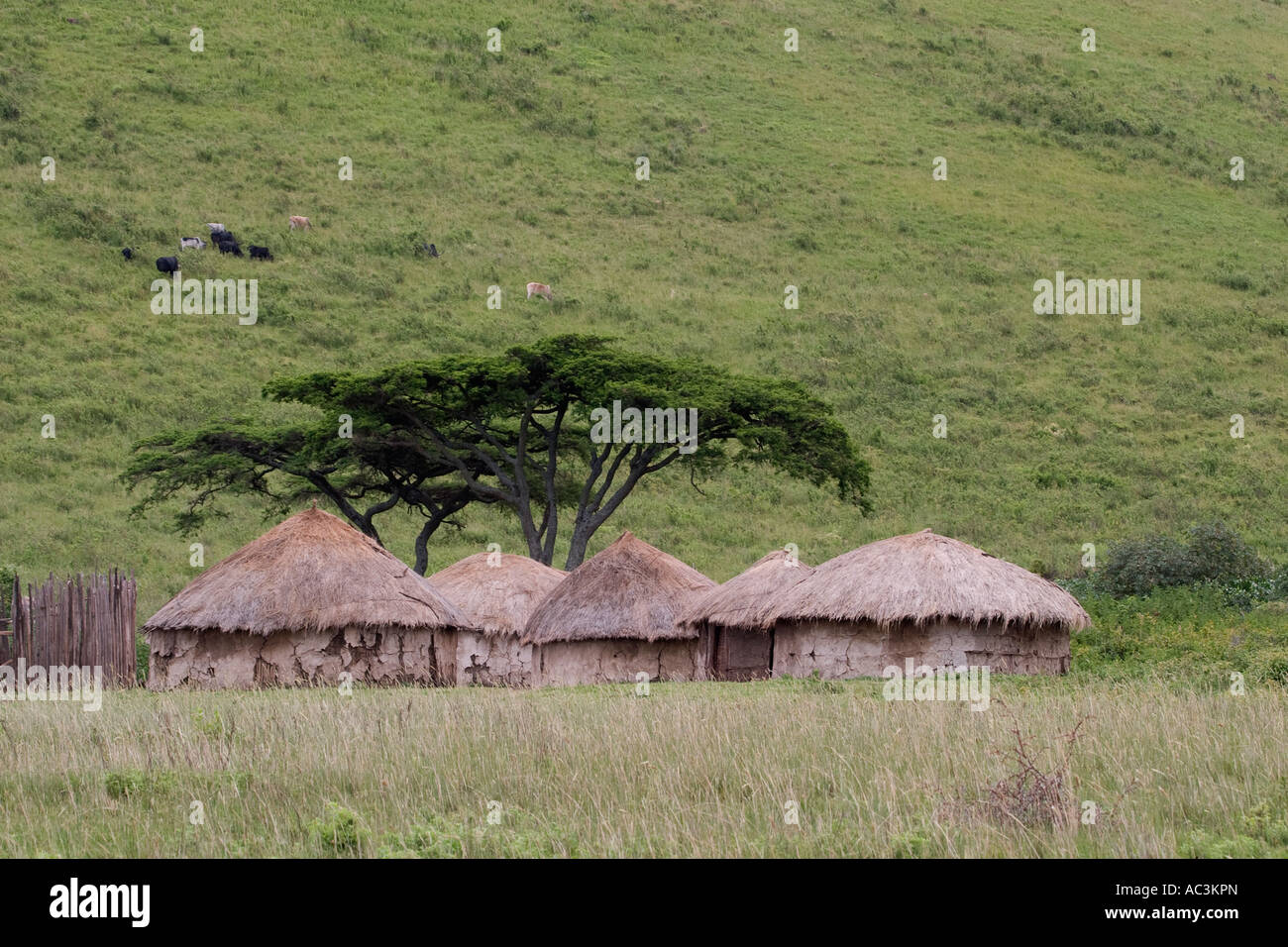 Masai huts hi-res stock photography and images - Alamy