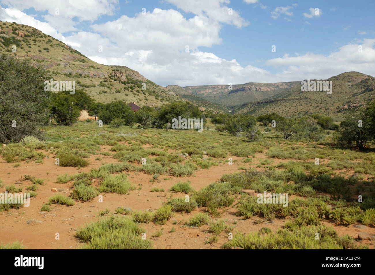 South african landscape Stock Photo - Alamy