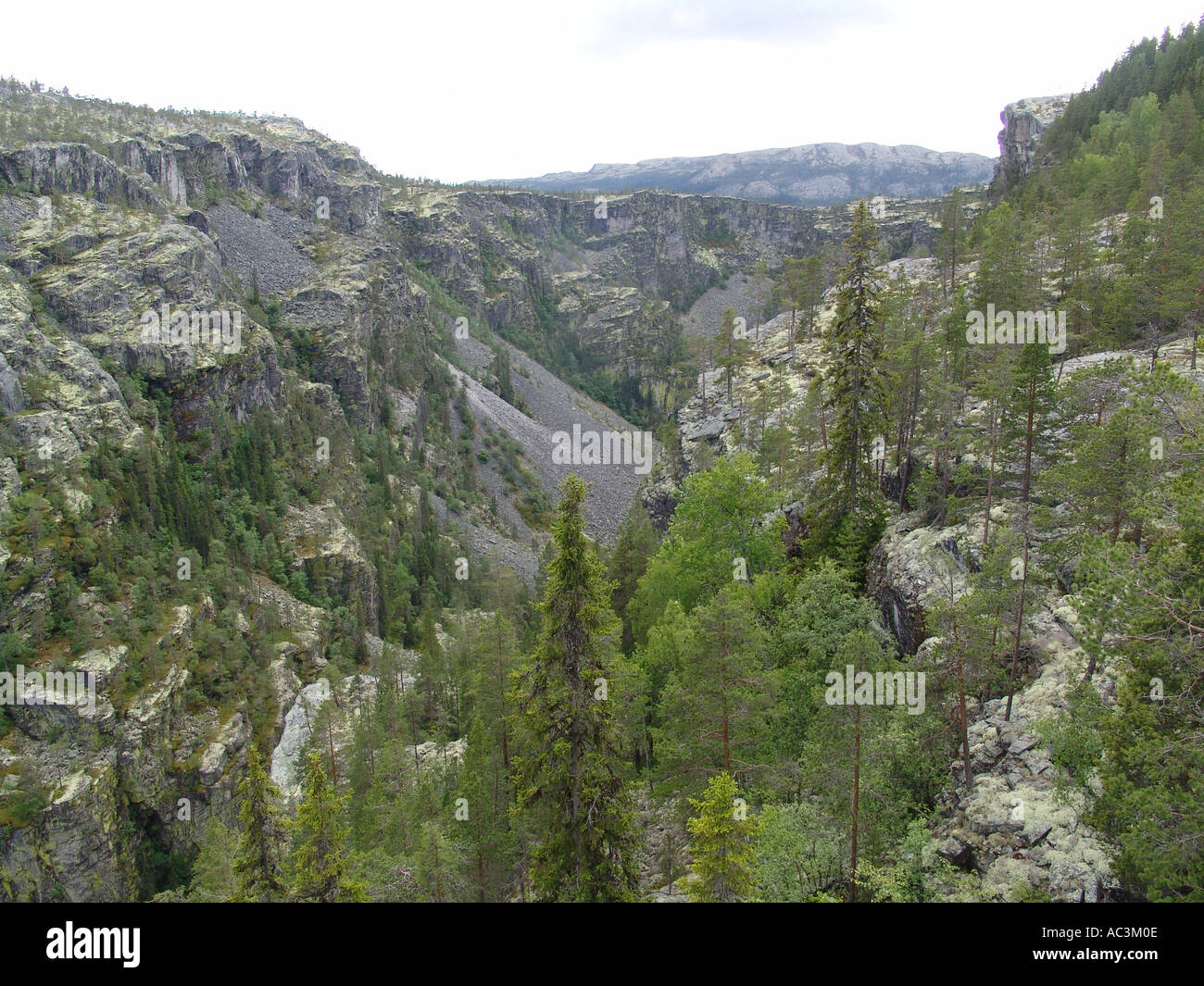 Alvdal hi-res stock photography and images - Alamy