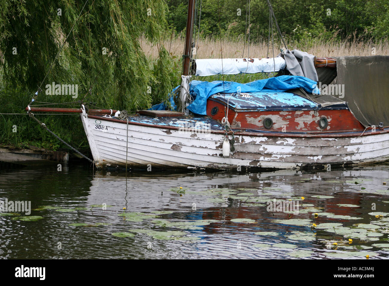 Old broads hi-res stock photography and images - Alamy