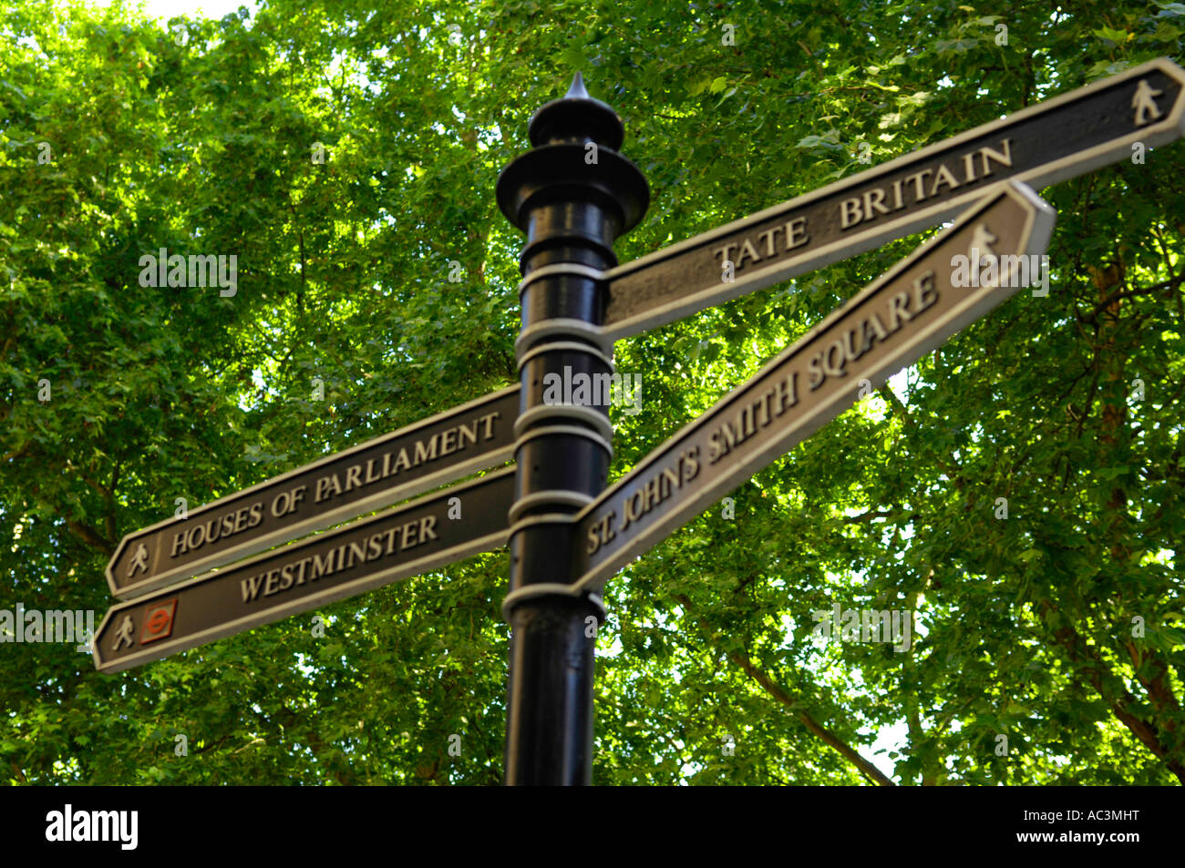 trees tourist sign london tate britain houses of parliament westminster ...