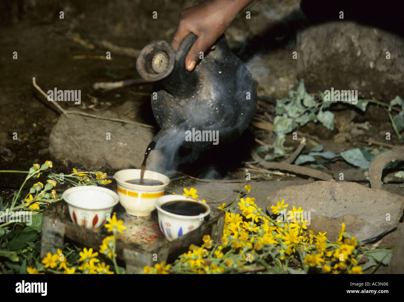 Pouring in the coffee during a coffee ceremony in a primitive hut in ...