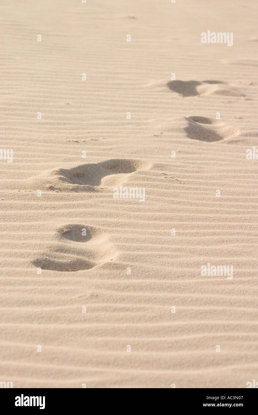 Footprints in the Sand Australia Beach Stock Photo - Alamy