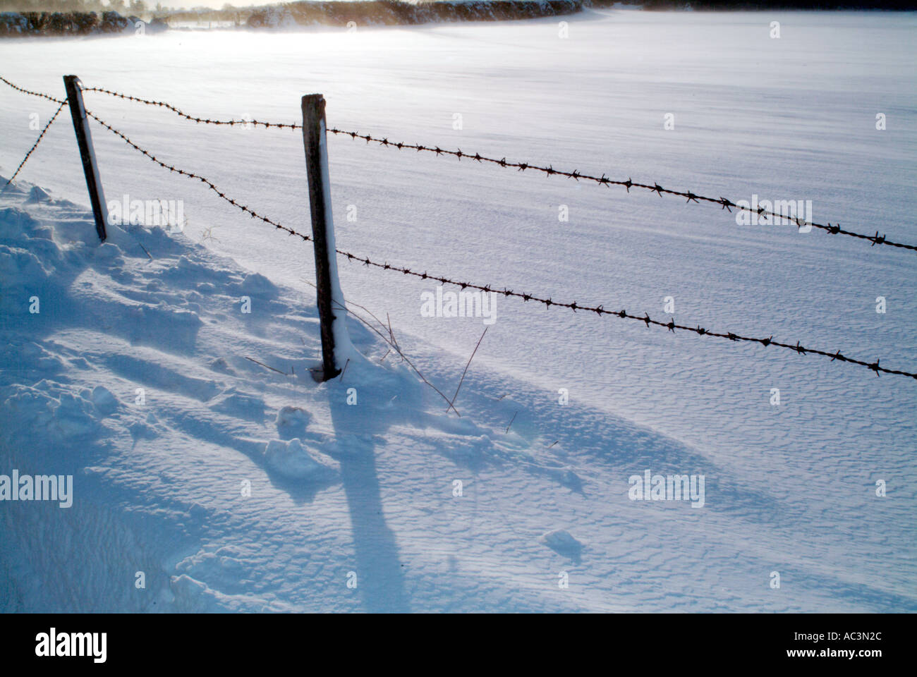 Stock proof fence hi-res stock photography and images - Alamy