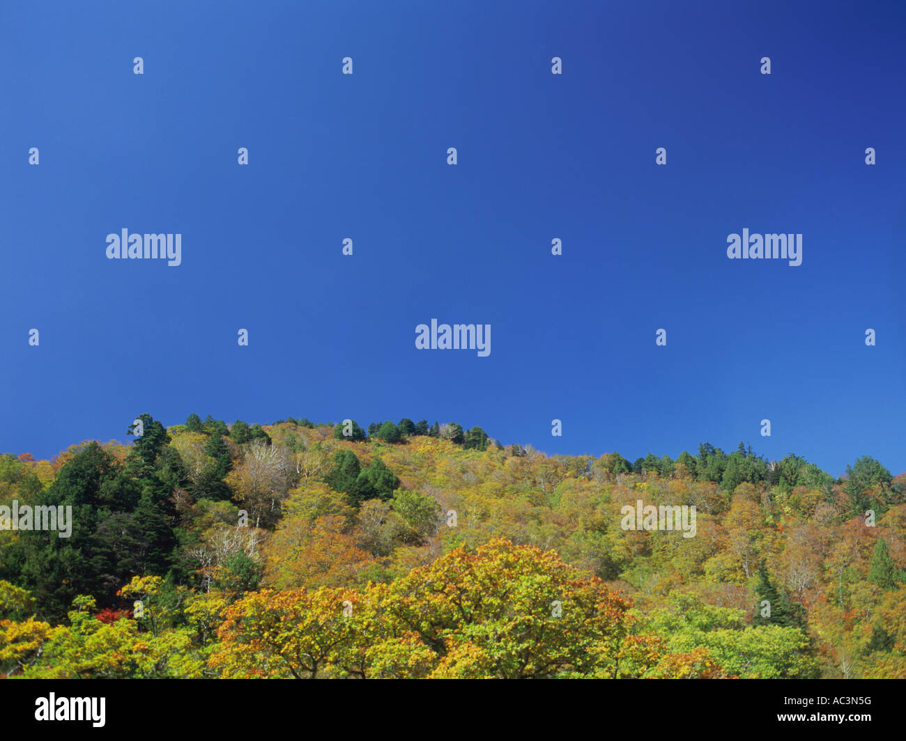 Oze Gunma Prefecture Japan Stock Photo - Alamy