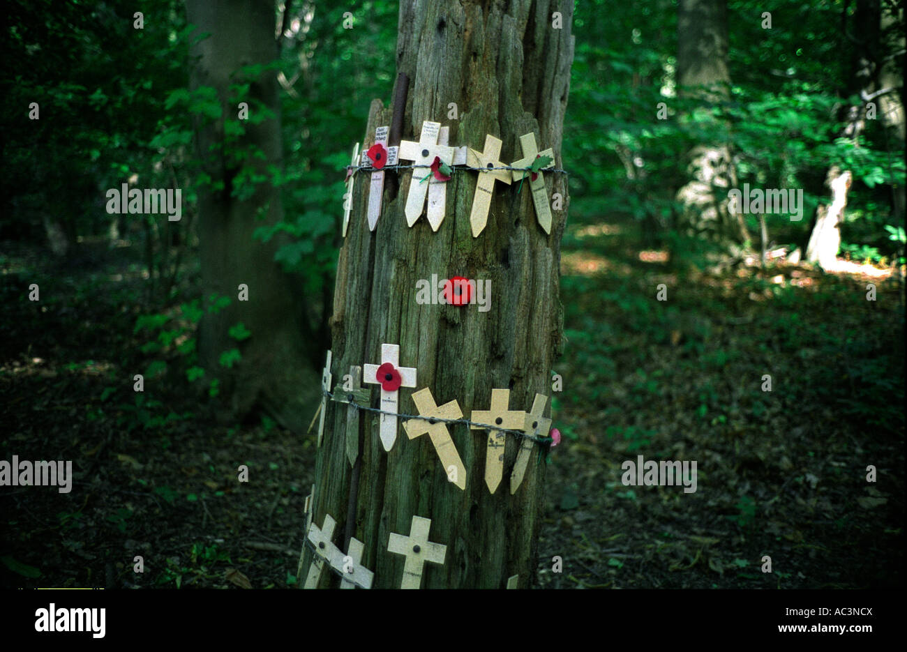 BELGIUM YPRES IEPER THE SALIENT FLANDERS A CROSS OF REMEMBRANCE PLACED ...