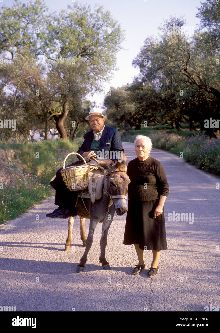 Donkey riding saves your feet Stock Photo - Alamy