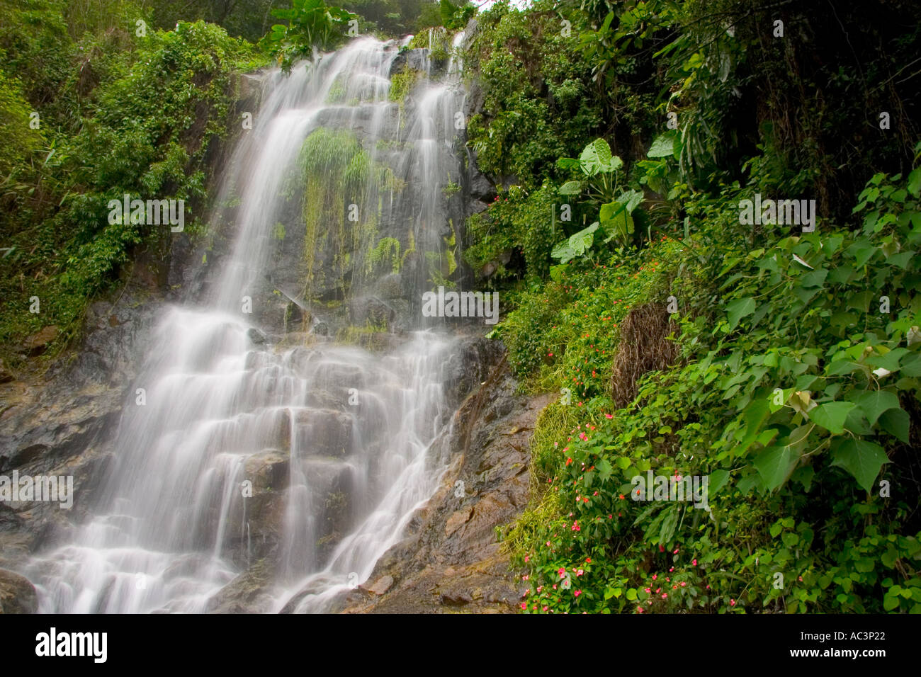 Hong Kong Waterfall The Peak Stock Photo - Alamy