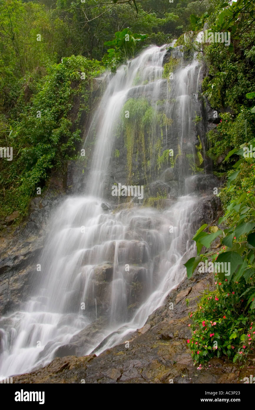 Hong Kong Waterfall The Peak Stock Photo - Alamy
