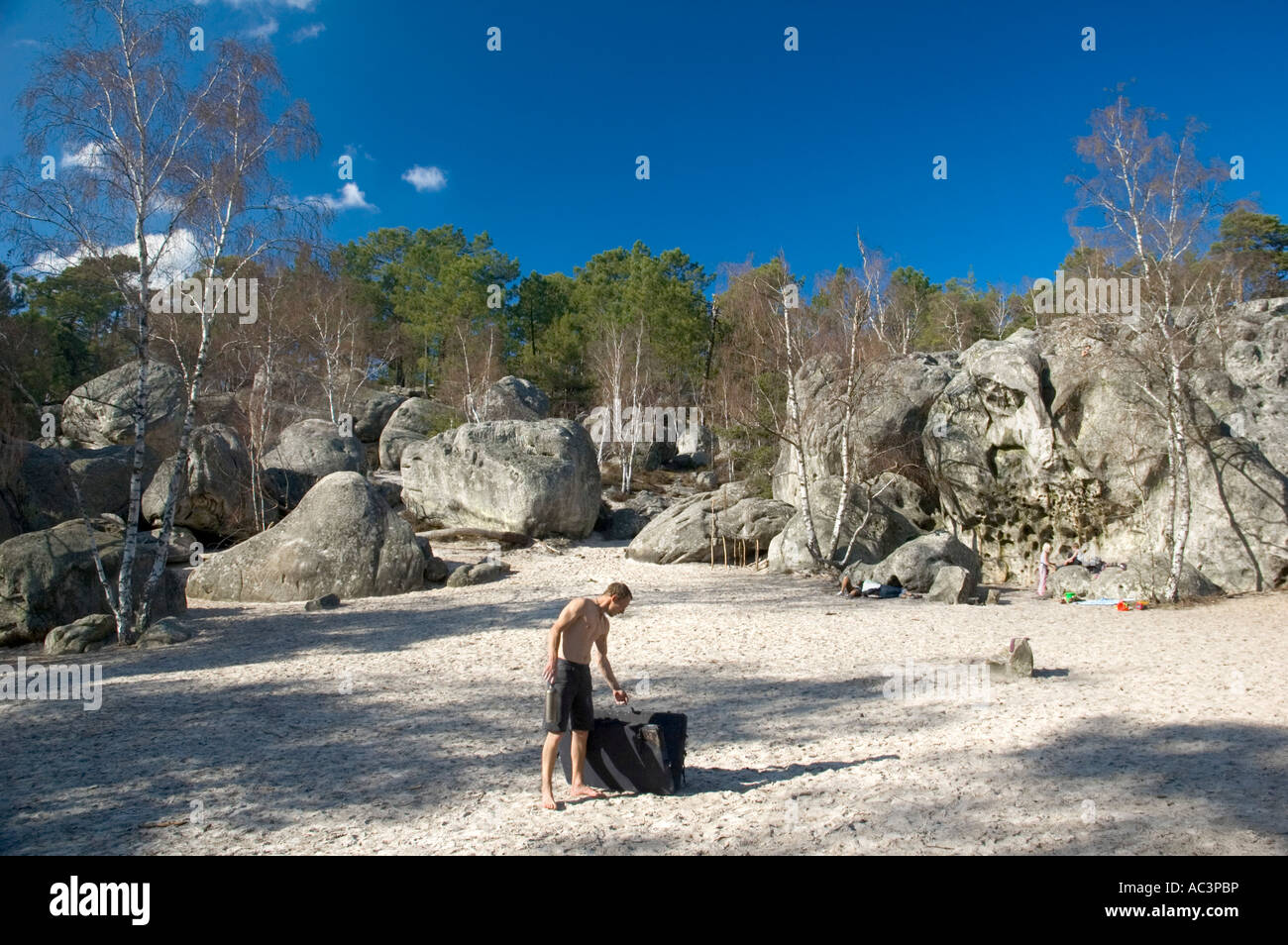 Boulders in the Forest of Fontainebleau France Stock Photo - Alamy
