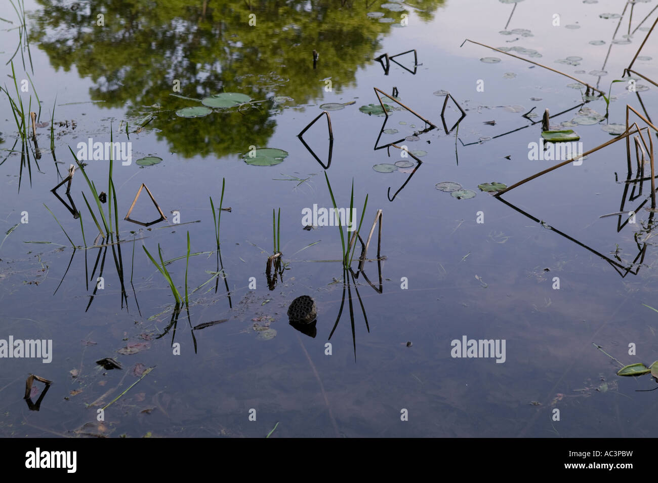 Reflection reflections united states of america hi-res stock ...