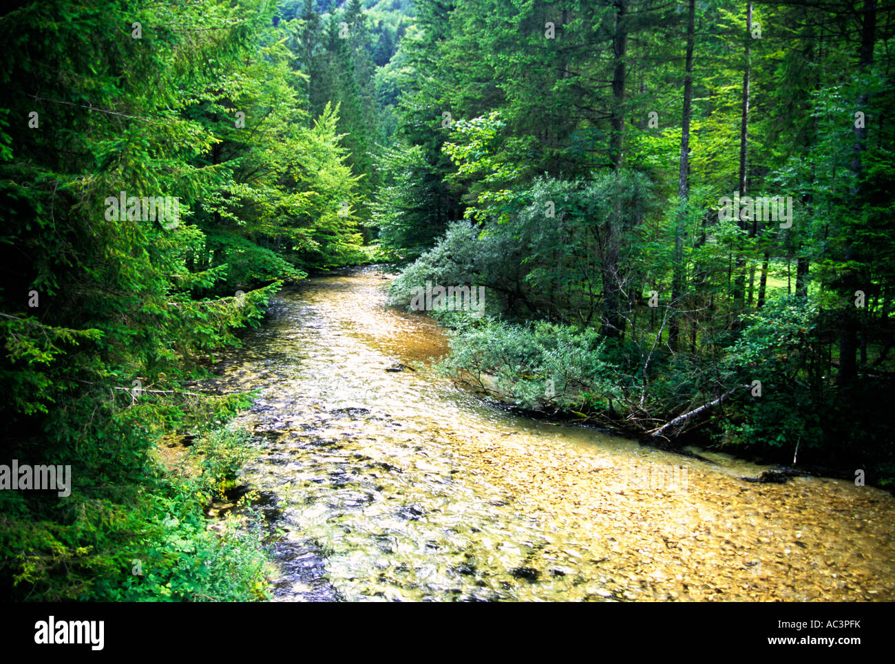 Slovenia, Radovna river - Triglav National Park Stock Photo - Alamy
